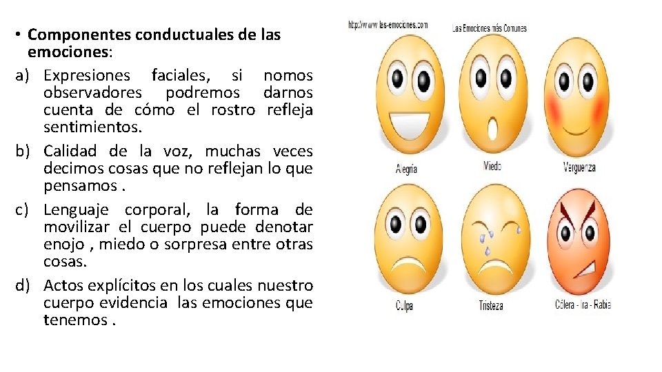 rea Acadmica Psicologa Tema Expresin de las emociones