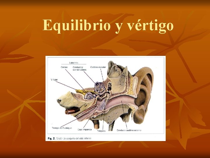Equilibrio y vrtigo Parte l Equilibrio y vrtigo