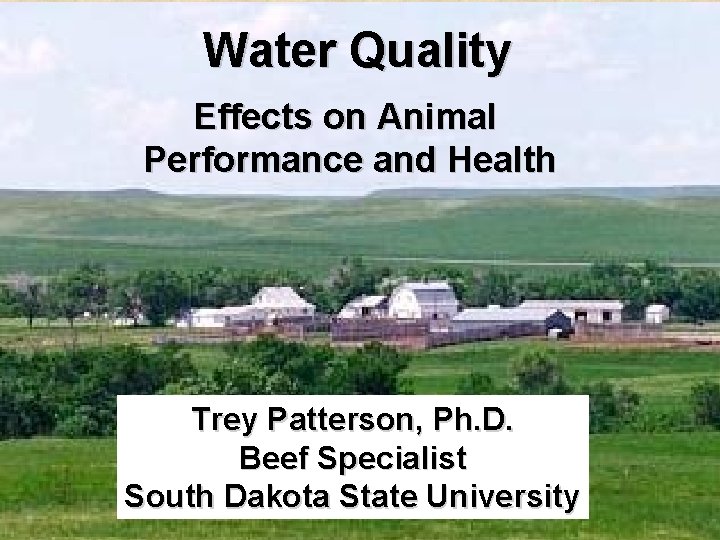 Water Quality Effects on Animal Performance and Health
