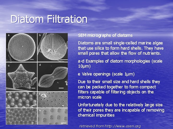 Use of Nanoscale materials in Water Purification Robert