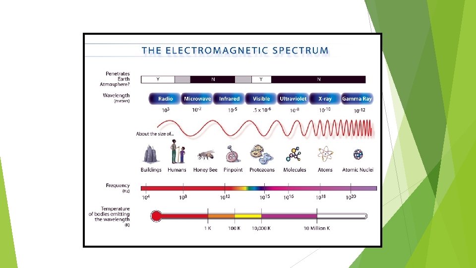 Waves AP Physics 1 Standards Essential Knowledge 3