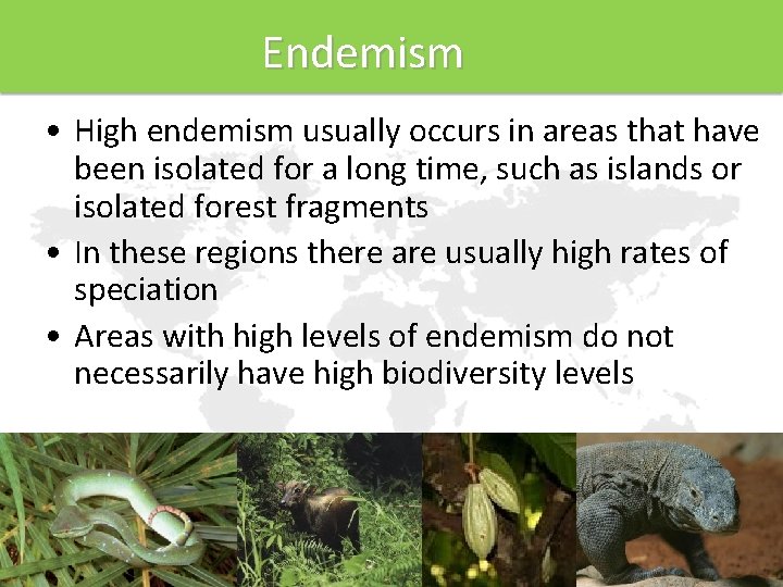 WALLACE RESOURCE LIBRARY Lecture 06 Endemism and Biodiversity