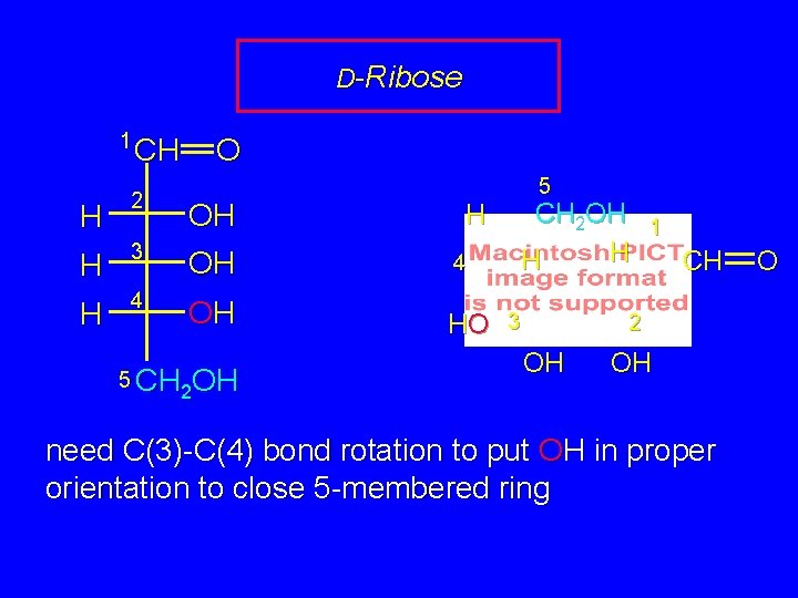 25 6 Cyclic Forms of Carbohydrates Furanose Forms