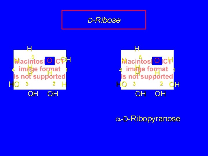 25 6 Cyclic Forms of Carbohydrates Furanose Forms