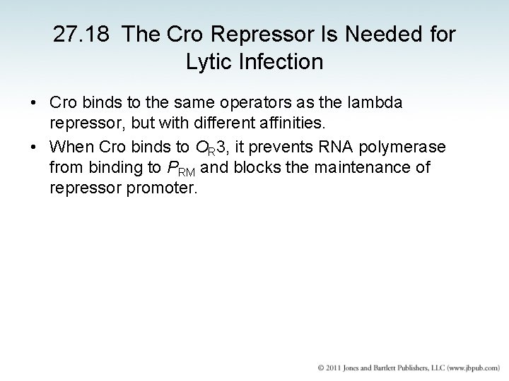 Chapter 27 Phage Strategies 27 1 Introduction bacteriophage