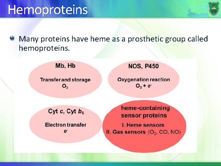 Hemoglobin An overview and more Prof Mamoun Ahram