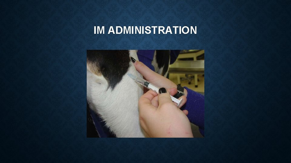 PARENTERAL ADMINISTRATION OF DRUGS ROUTES OF ADMINISTRATION Oral