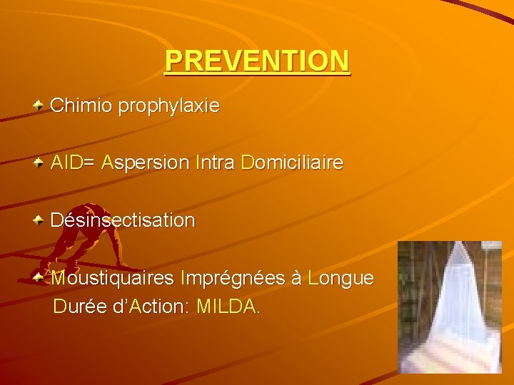 AGROPHYTEX SA LUTTE CONTRE LE PALUDISME PRENDRE UN