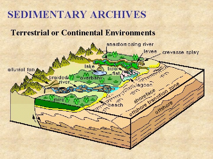SEDIMENTARY ARCHIVES Terrestrial or Continental Environments ...