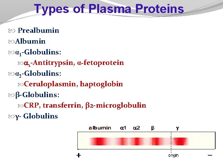 Plasma Proteins Overview Electrophoretic patterns of plasma proteins