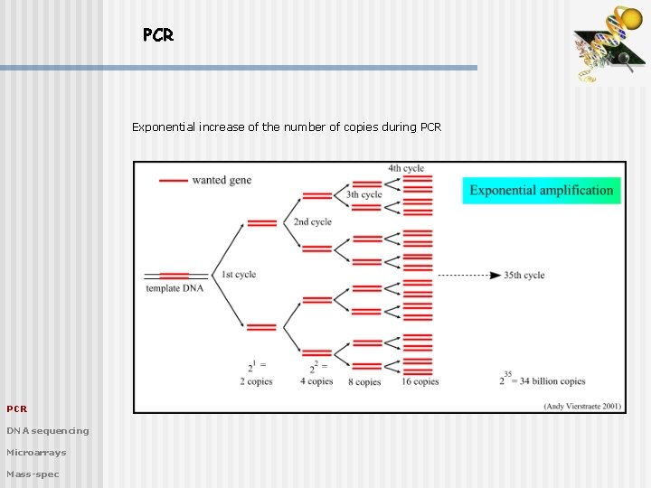 The new biology lab Laboratory Tools and Techniques