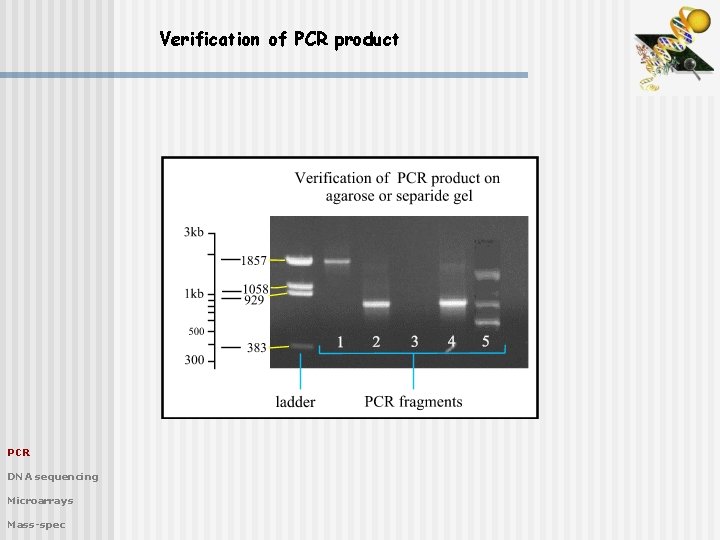 The new biology lab Laboratory Tools and Techniques