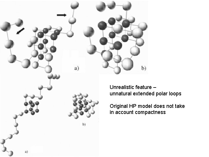 HP model for protein folding K Dill Theory