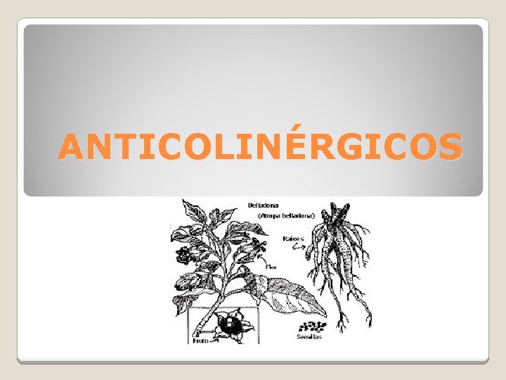 FACULTAD DE MEDICINA UNIDAD DE FARMACOLOGIA CLINICA Colinrgicos