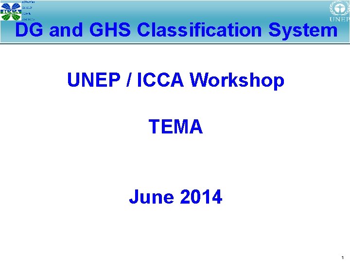 DG and GHS Classification System UNEP ICCA Workshop