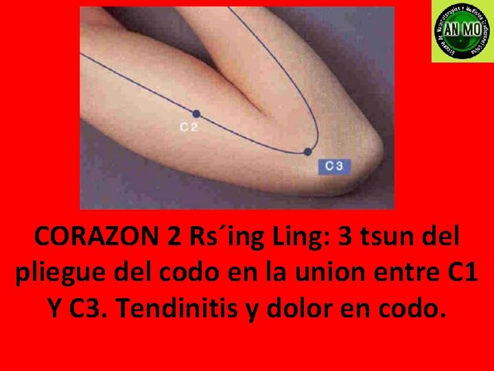 MERIDIANO DEL CORAZON RECORRIDO Y PUNTOS Funciones del
