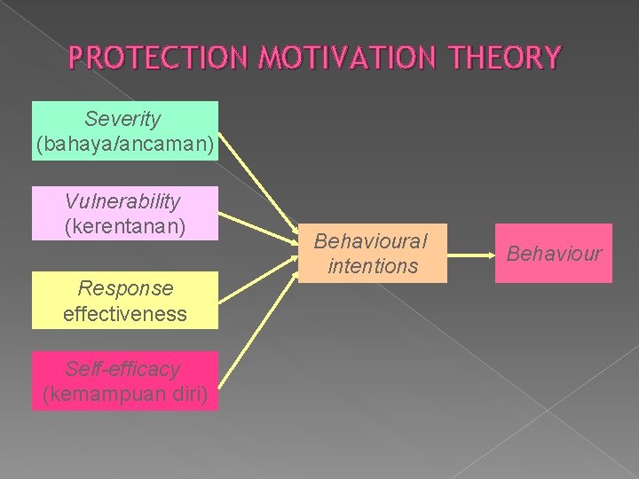 PROTECTION MOTIVATION THEORY PMT Revise by Kismi Mubarokah