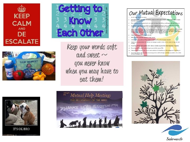 Independent Evaluation of Victorian Safewards Trial Bridget Hamilton