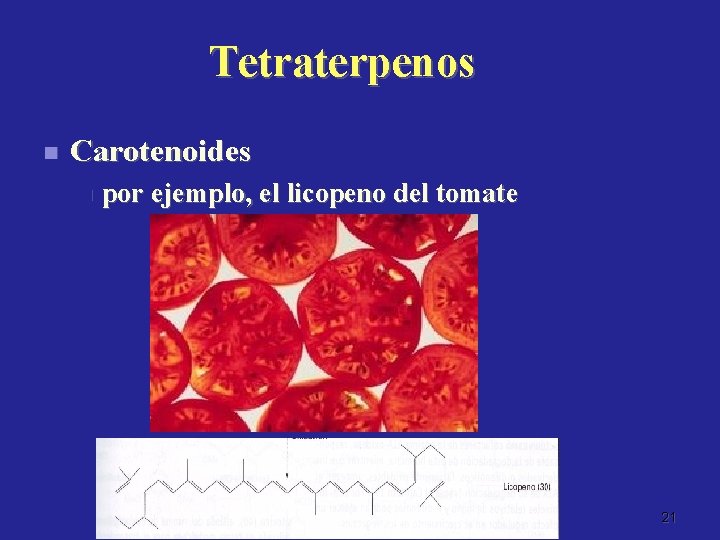 Tema 26 Introduccin al Metabolismo Secundario 1 Objetivo