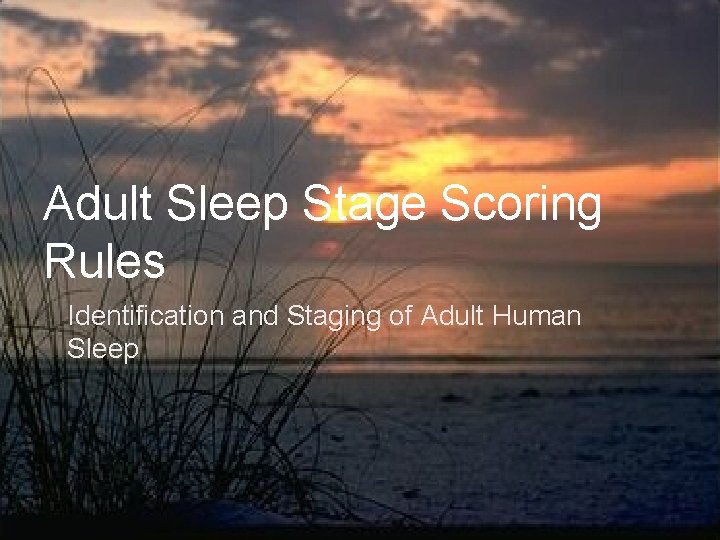 Adult Sleep Stage Scoring Rules Identification and Staging