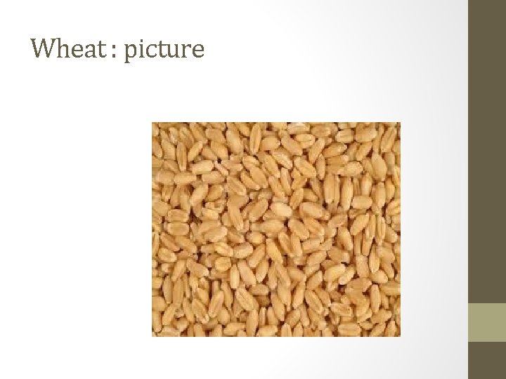 Cereals and Pulses Dr Pracheth R Outline Classification