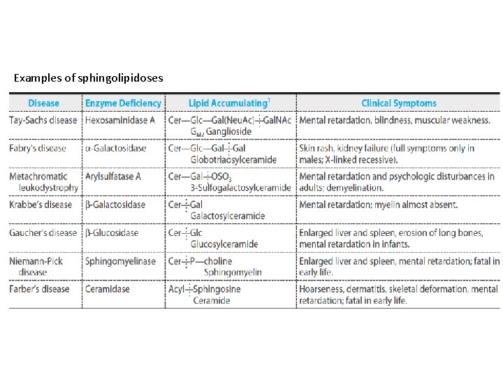Metabolism of Acylglycerols Sphingolipids BIOMEDICAL IMPORTANCE ...