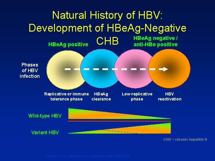 Natural History of Hepatitis B and Liver Cancer