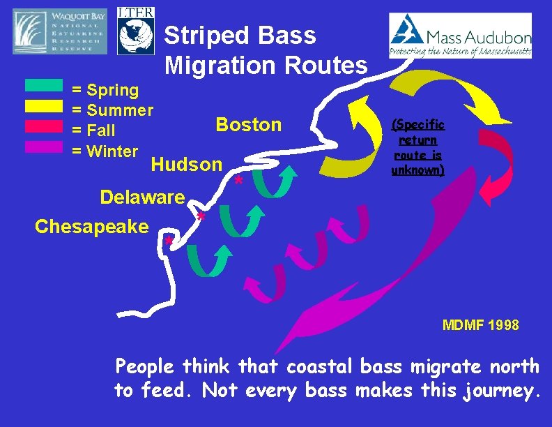 Striper Prey and Salinity By Liz Duff Mass