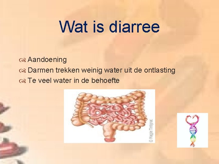 Diarree Buikloop Inhoudsopgave Wat is diarree De oorzaken