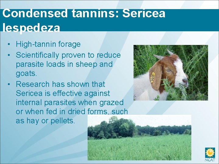 Controlling Internal Parasites in Small Ruminants Sheep Goat