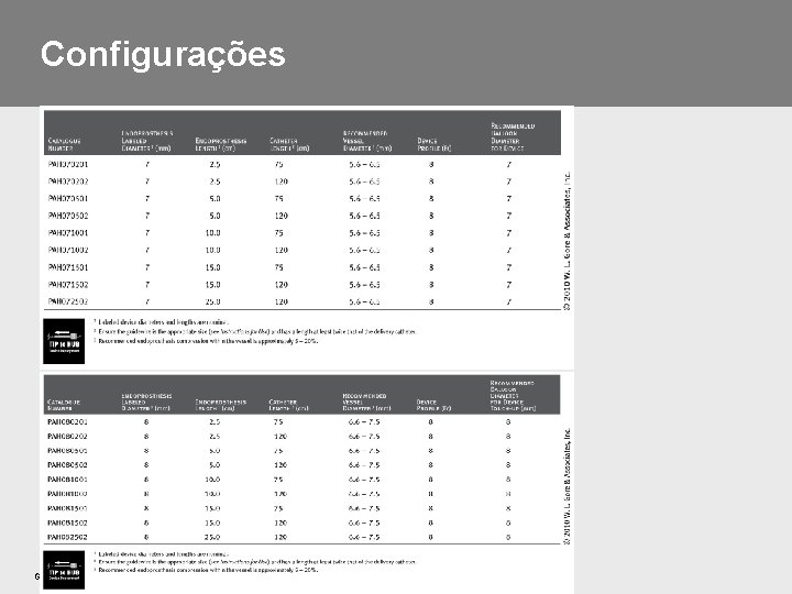GORE VIABAHN Endoprosthesis GORE VIABAHN and designs are
