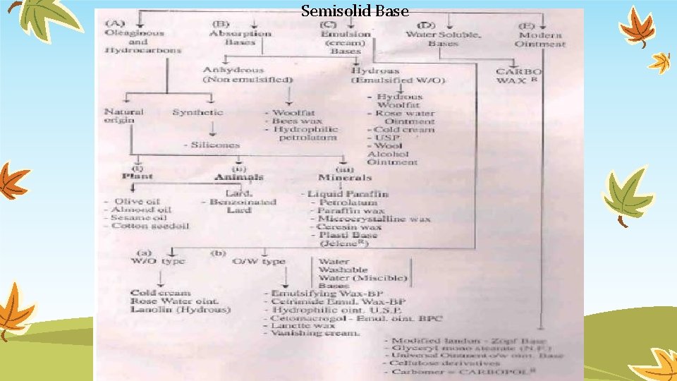 SEMISOLID DOSAGE FORM T N SAIFULLAH S Laboratorium