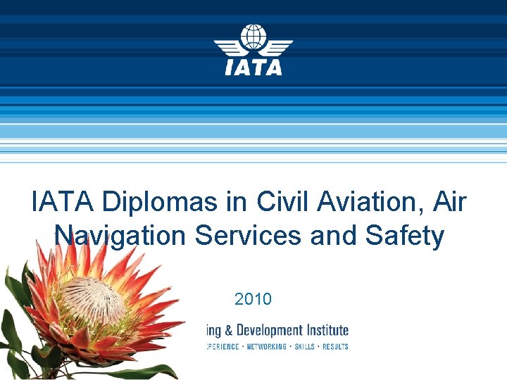 IATA Diplomas in Civil Aviation Air Navigation Services