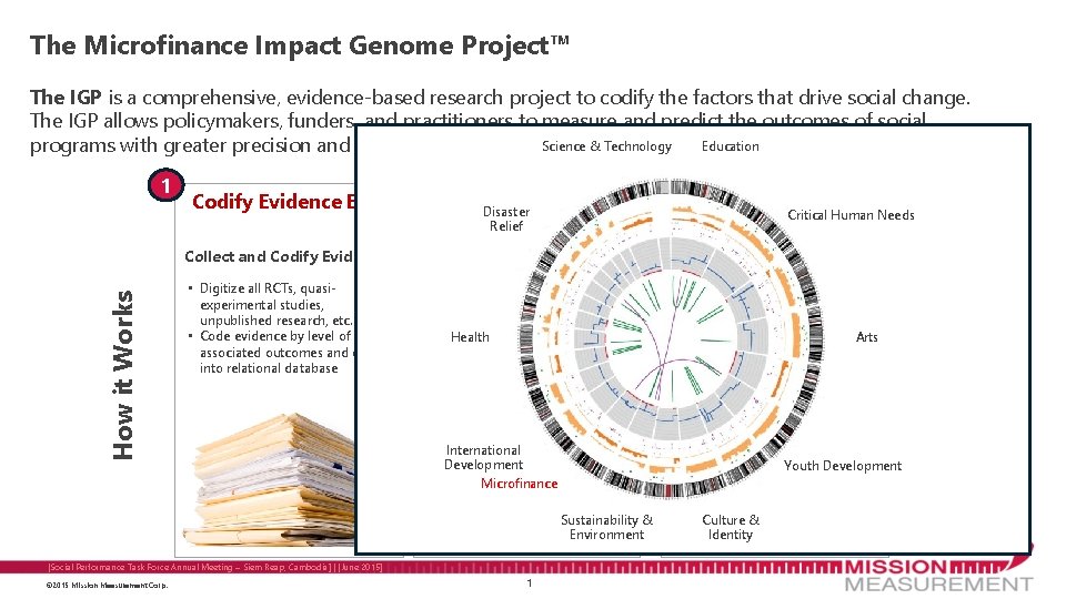 The Microfinance Impact Genome Project The IGP is