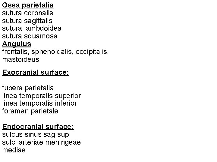 The skull cranium I Neurocranial skull bones protection