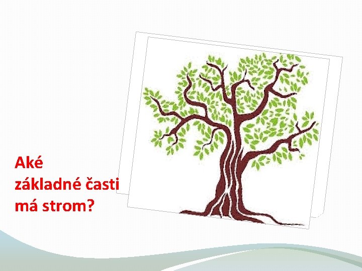 Strom a jeho asti prirovnanie Ak zkladn asti