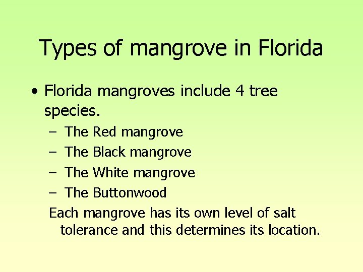Mangrove Ecosystems What are Mangroves Mangroves are plants
