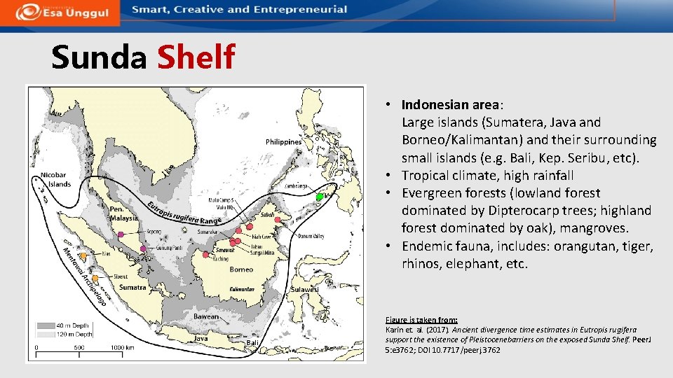 IBL 321 Biodiversity BIOGEOGRAFI Biogeography Concept and its