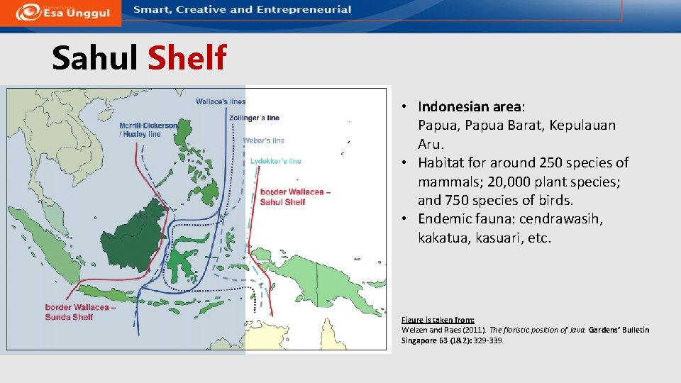 IBL 321 Biodiversity BIOGEOGRAFI Biogeography Concept and its