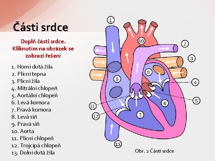 Nzev SRDCE Pedmt ronk Biologie 3 ronk Tematick