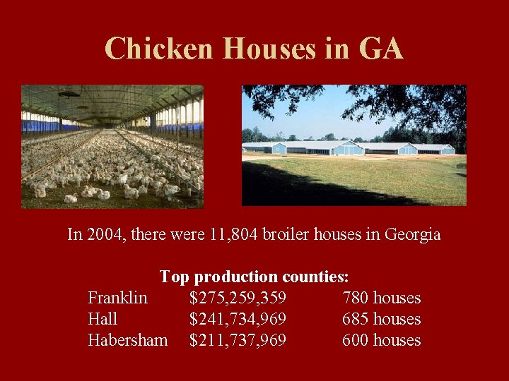 Broilers An Overview of Broiler Production in Georgia