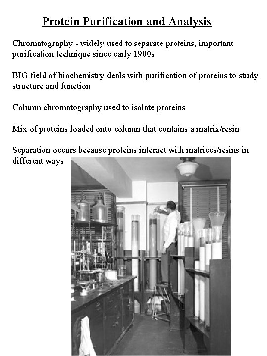 Protein Purification and Analysis Solubility of proteins important