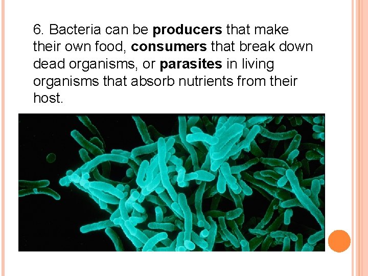 CH 7 BACTERIA Life Science SECTION 1 WHAT