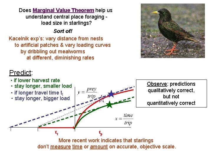 Behavioral Ecology attempts to understand behavior in terms
