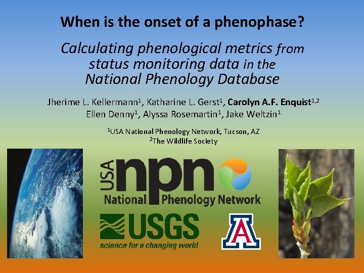 When is the onset of a phenophase Calculating