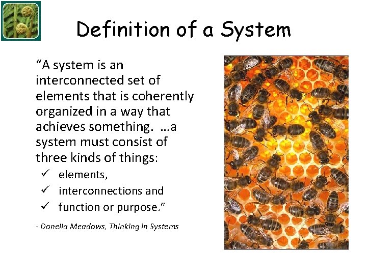 Intro to Biomimicry and Systems Thinking What is