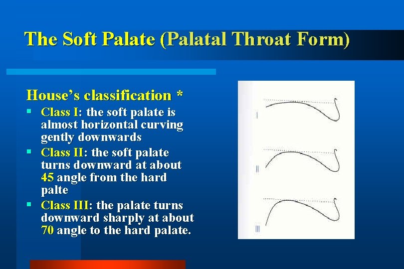 Examination Diagnosis and Treatment Planning for Edentulous or