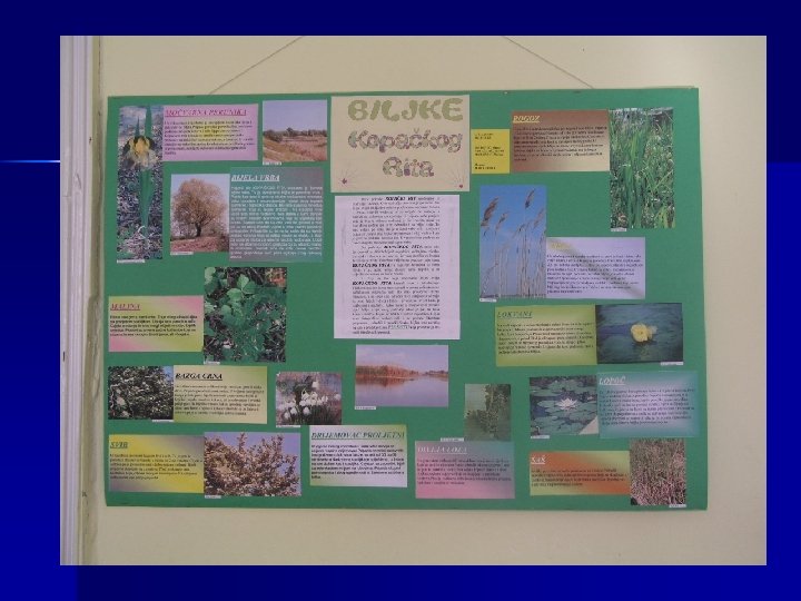 PLAKAT ILI POSTER Definicija plakata n Njem plakat