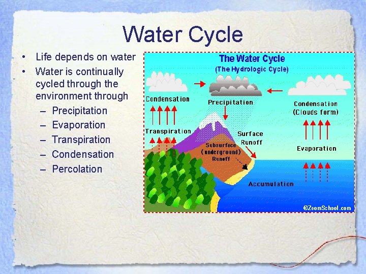 Biogeochemical Cycles Cycling of materials between the environment