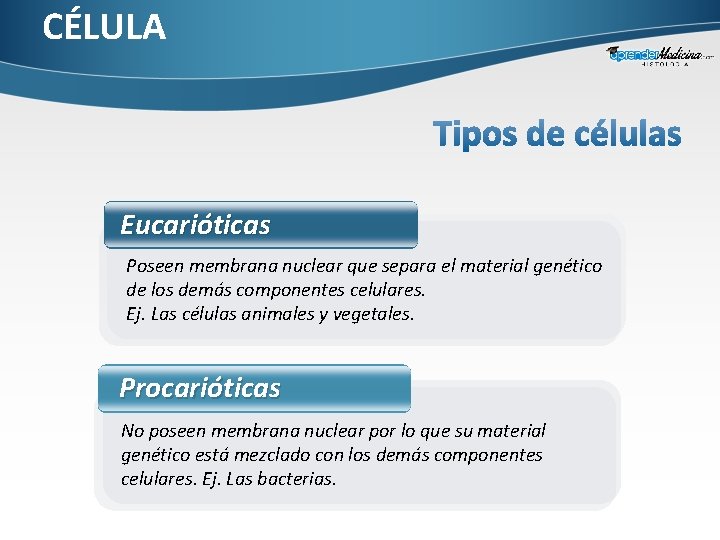CLULA CLULA Protoplasma Carioplasma Citoplasma CLULA CLULA A
